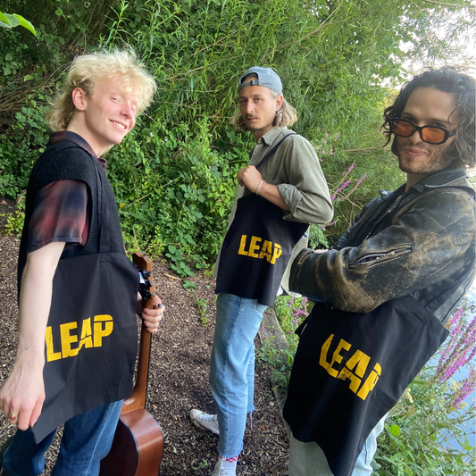 The LEAP Experience